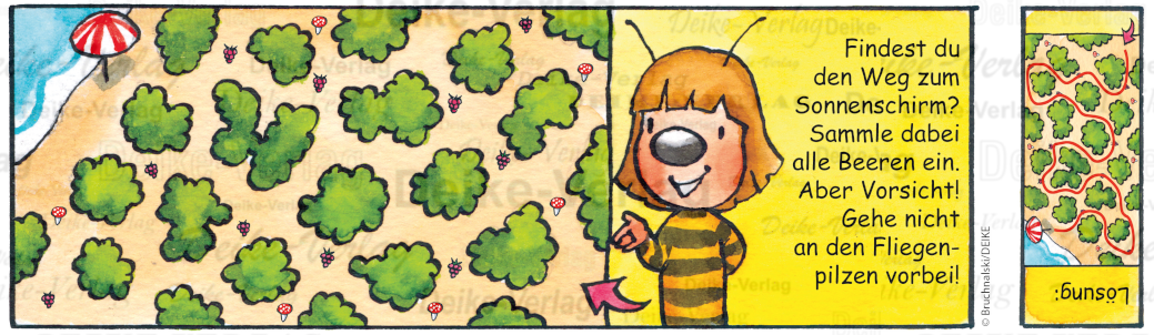 Strandweg - Irmi die Rätselbiene | 733R04R4c-jpg